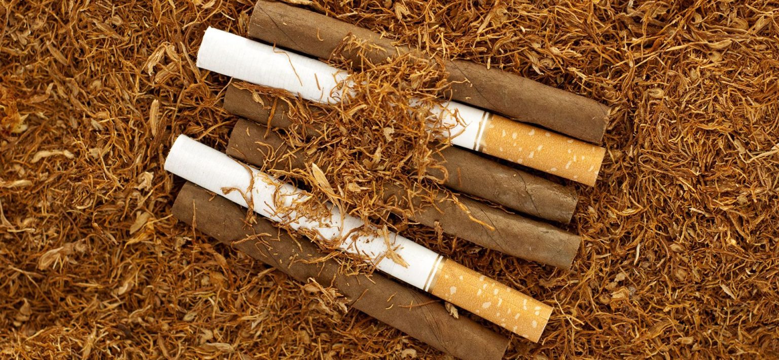Exploring What is the Difference Key Variations Between and Cuban Cigar ...